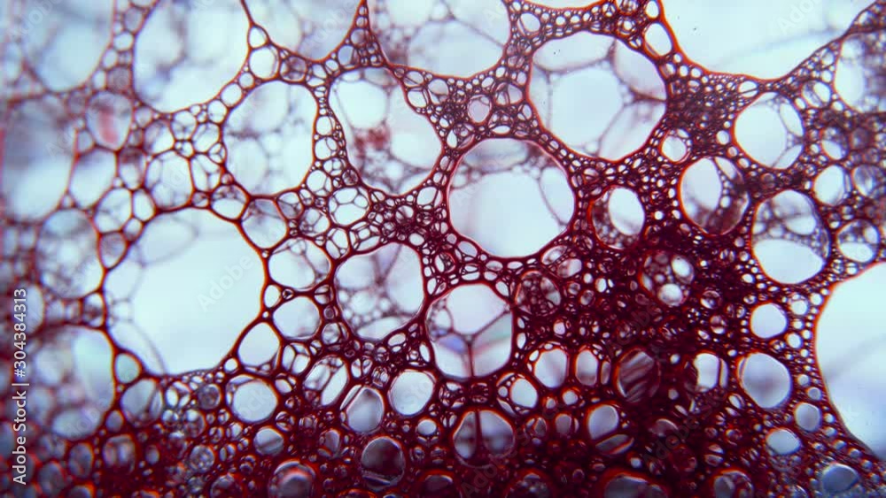Microscopic view of foam structure, blood fluid flow, laboratory ...