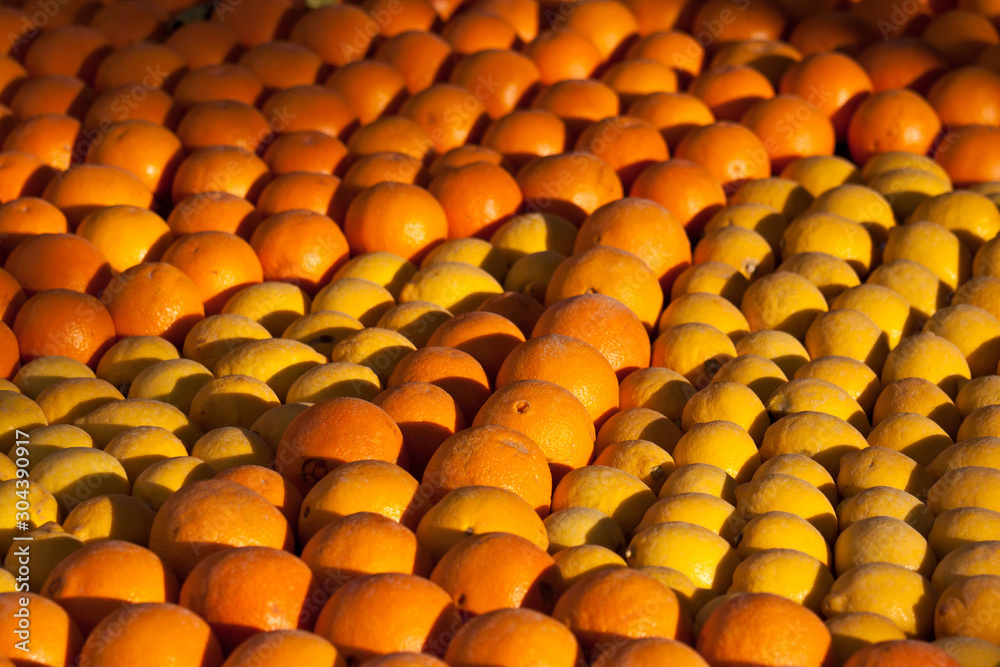 Lemon Festival on French Riviera. Architectural composition and huge ...