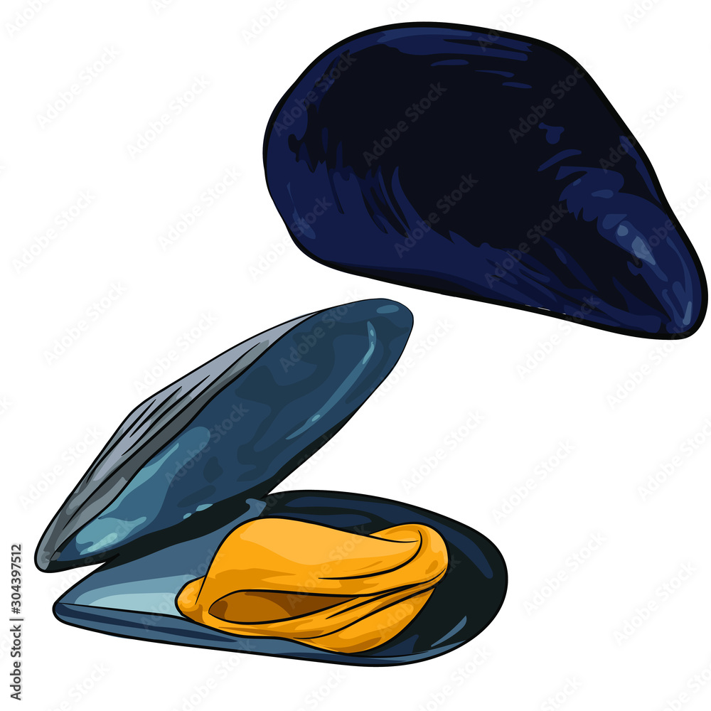 Hand drawn cartoon style vector illustration of mussels Stock Vector ...