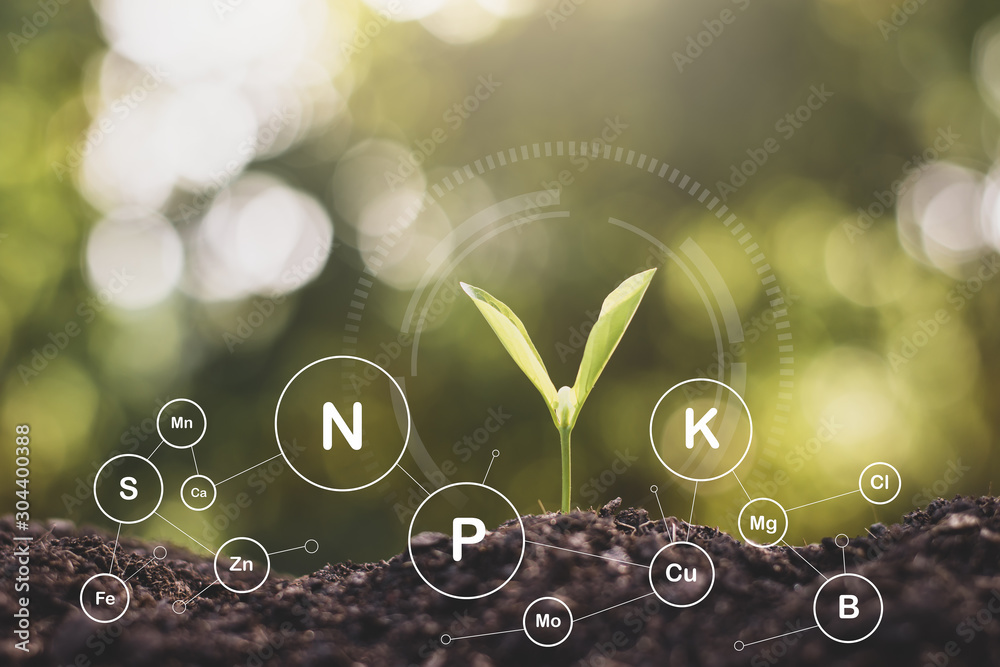 The seedlings are growing from the rich soil and have an icon attached to the nutrients ...