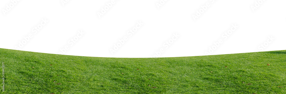 Green grass field isolated on white background with clipping path ...
