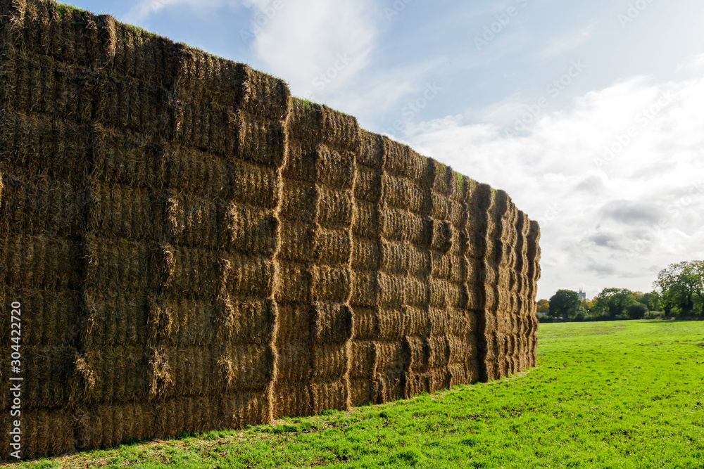 sheaves of hay stacked into wall on the field in england uk on a sunny ...