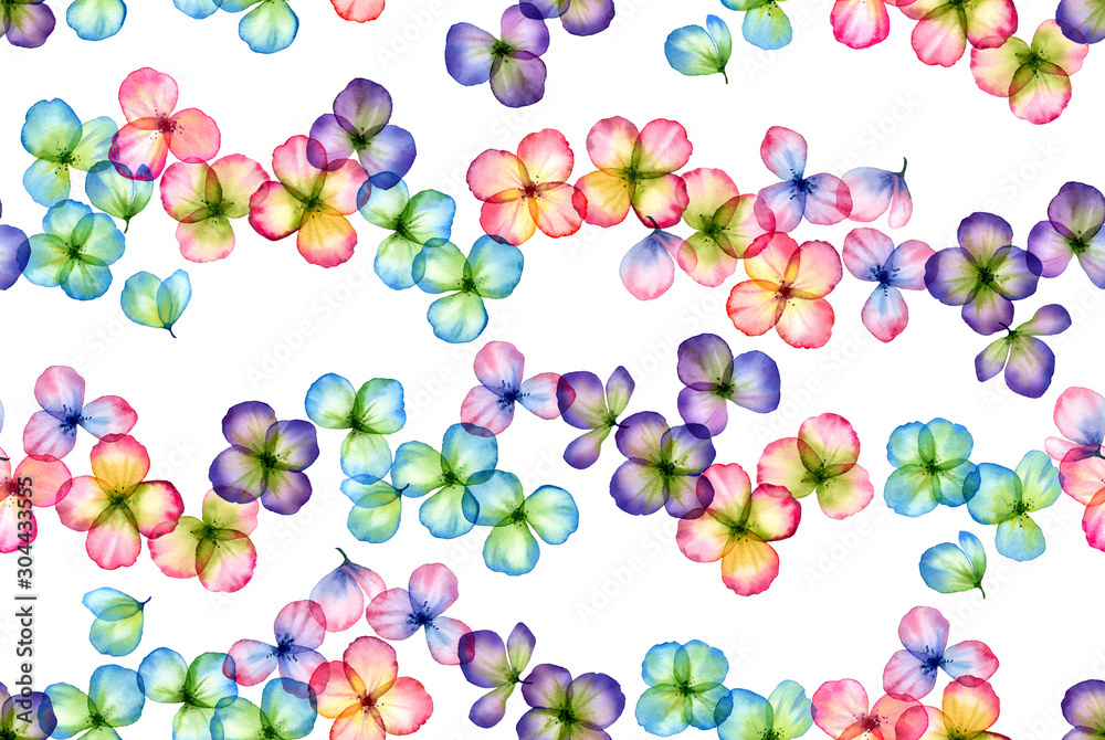 Transparent watercolor flowers. Seamless floral pattern. Isolated hand ...