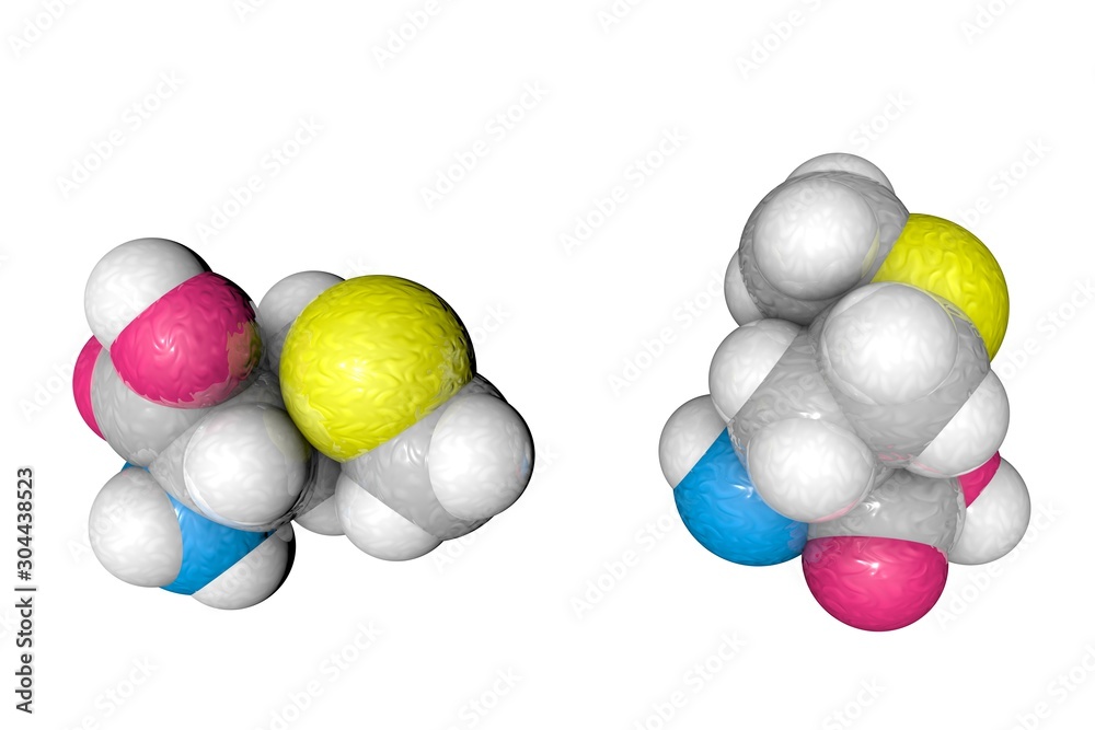 Molecular model of methionine. Atoms are represented as spheres with ...