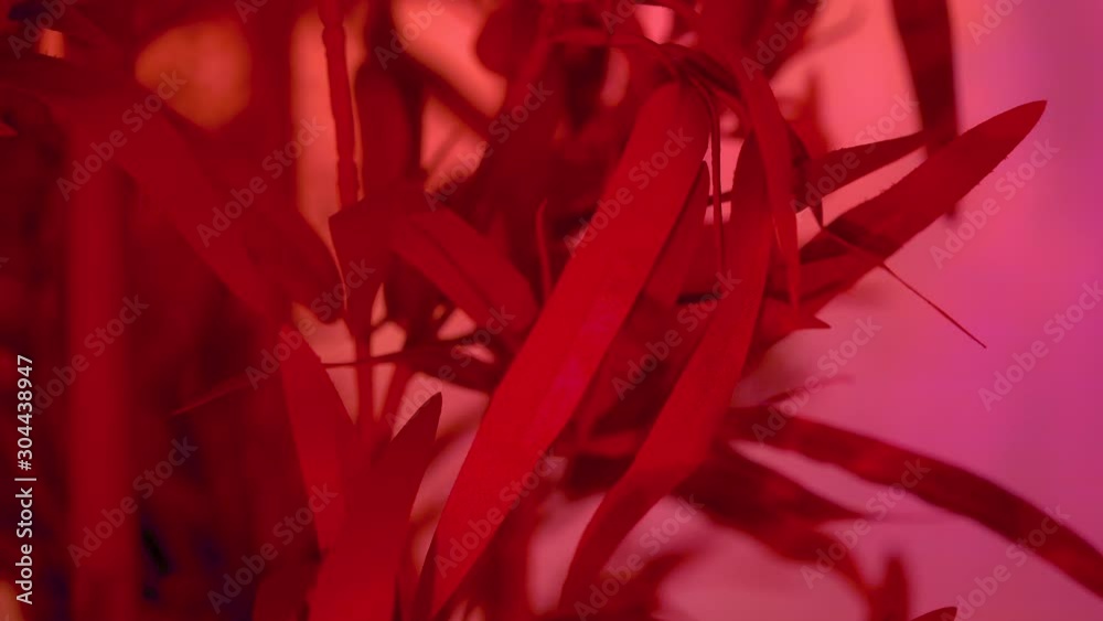 Red alien plants with leaf on habitable fantasy world. Space travel ...