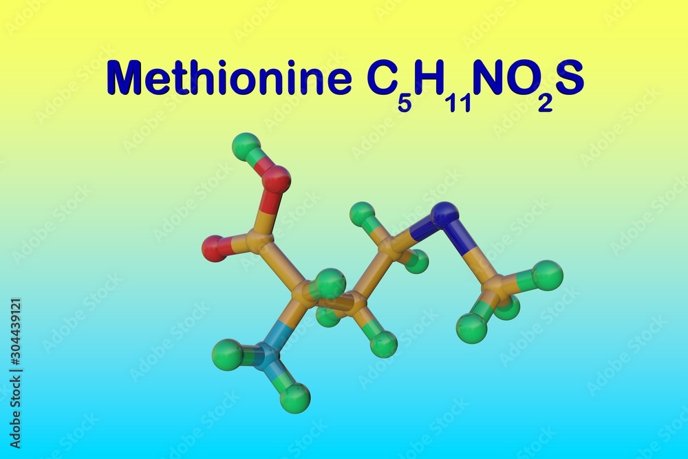 Structural chemical formula and molecular model of methionine, a ...