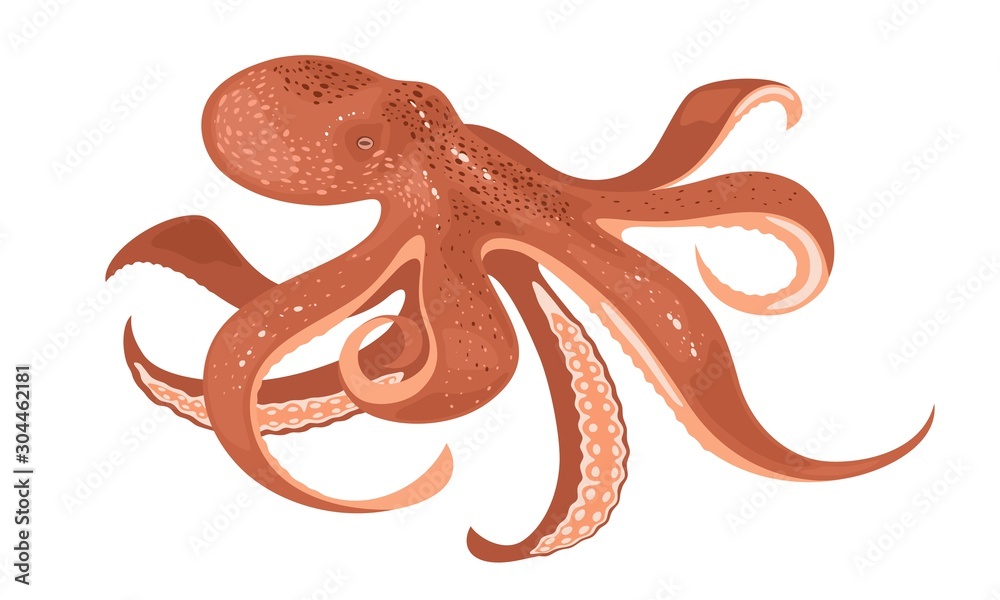 Octopus or poulpe. Soft-bodied, eight-limbed mollusc. Marine animal ...