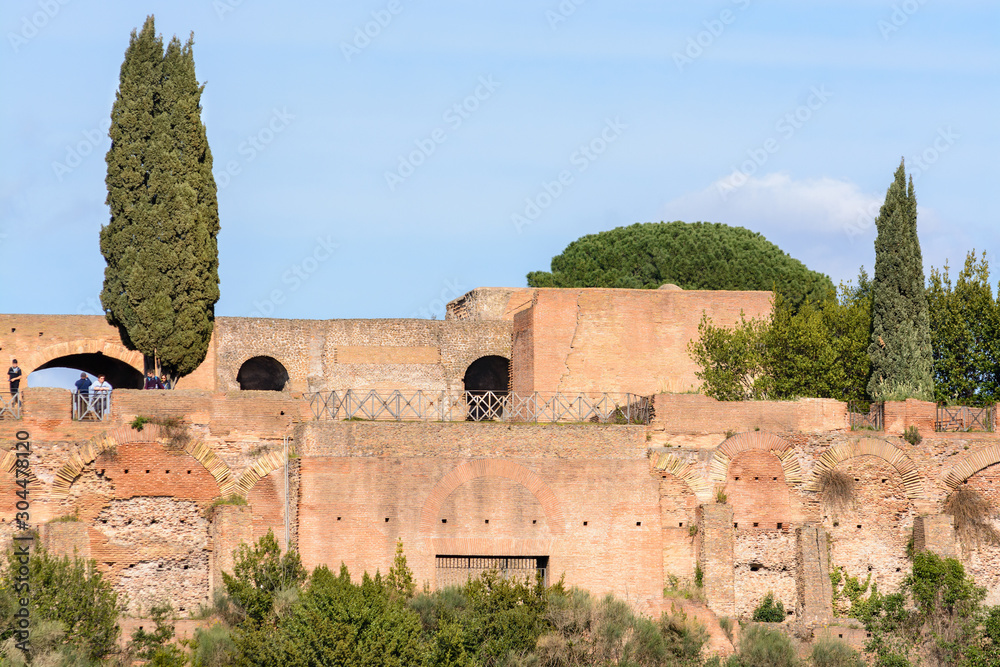 Roman emperors built their residences on the Palatine. The Palatine is ...