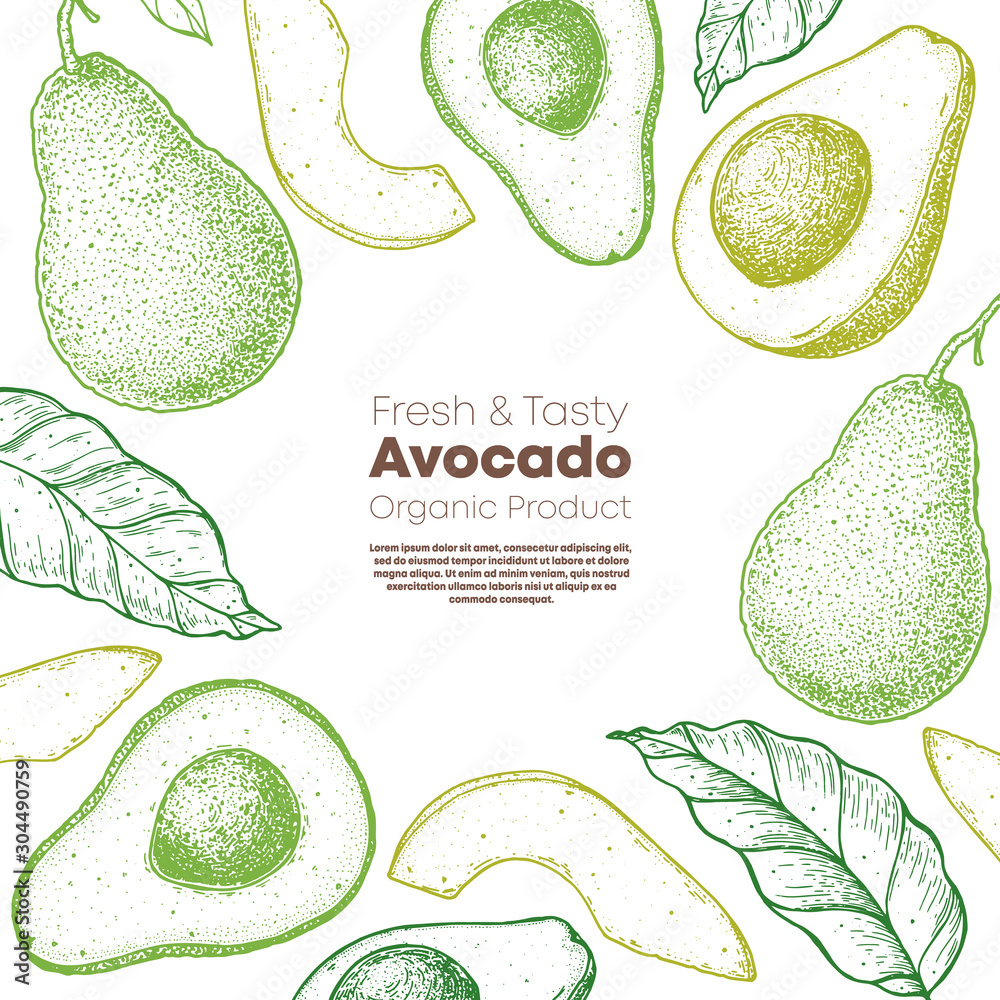 Avocado hand drawn illustration. Avocado frame. Sketch vector ...