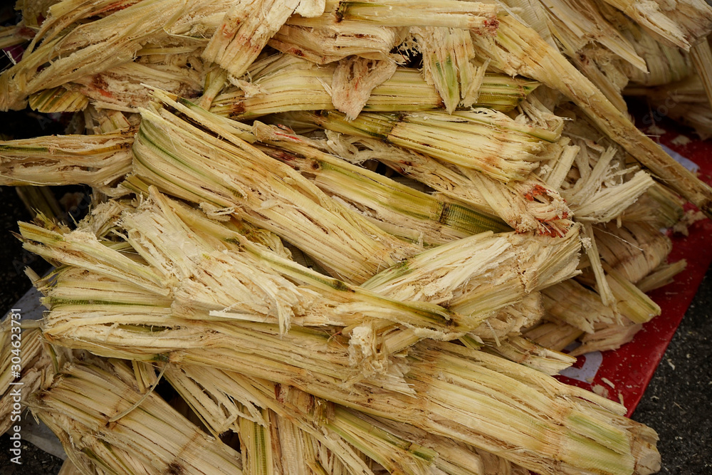 Bagasse,waste of sugar cane,sugar cane after squeeze for drink,trash of ...