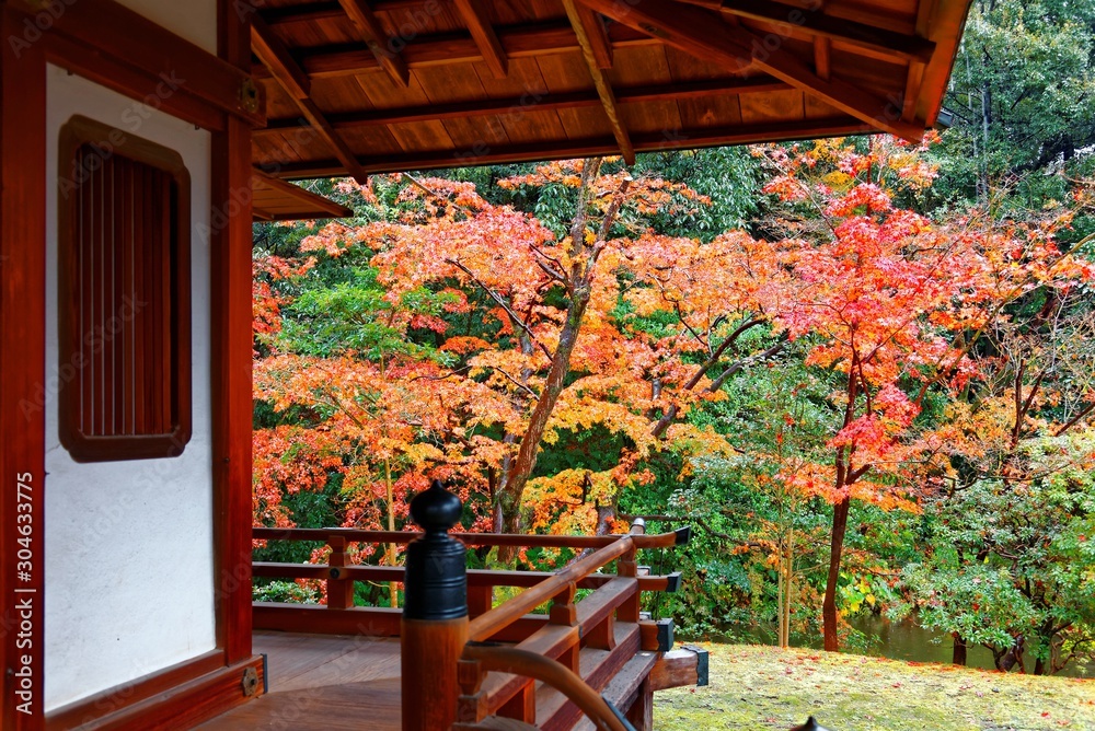 Fall scenery of fiery maple trees in a beautiful Japanese garden in a ...