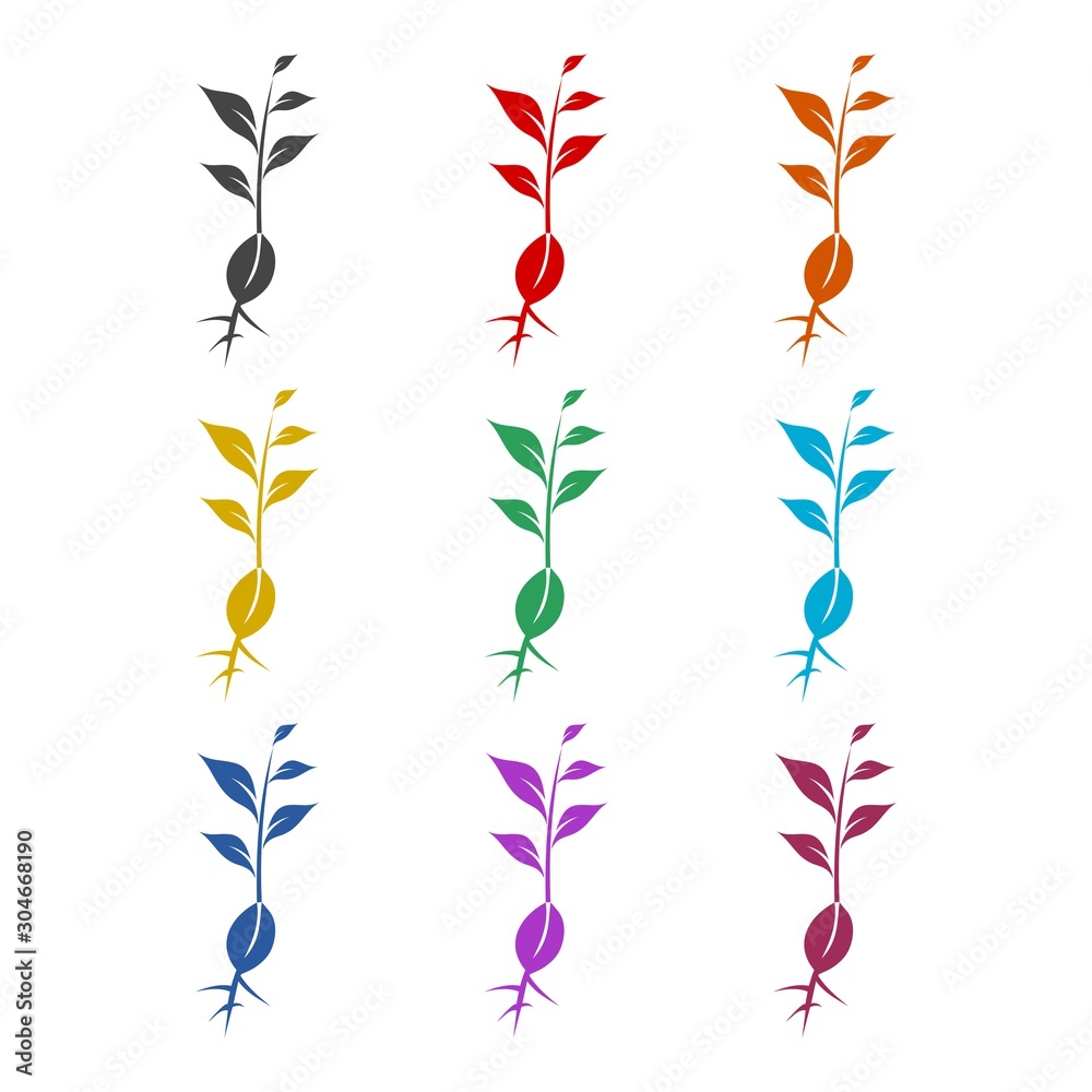 Sprout color icon set isolated on white background Stock Illustration ...
