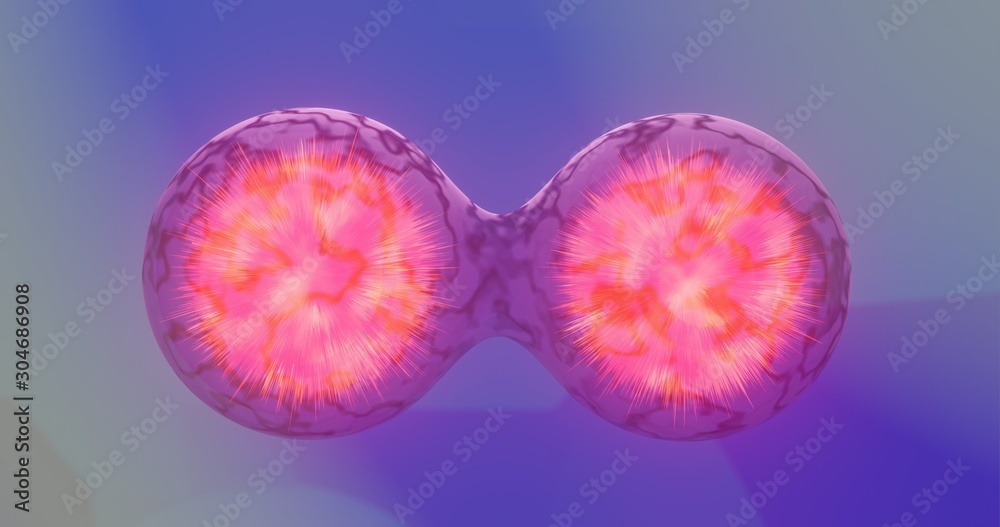 Cells at the verge of splitting apart. cell division of bacteria. 3D ...