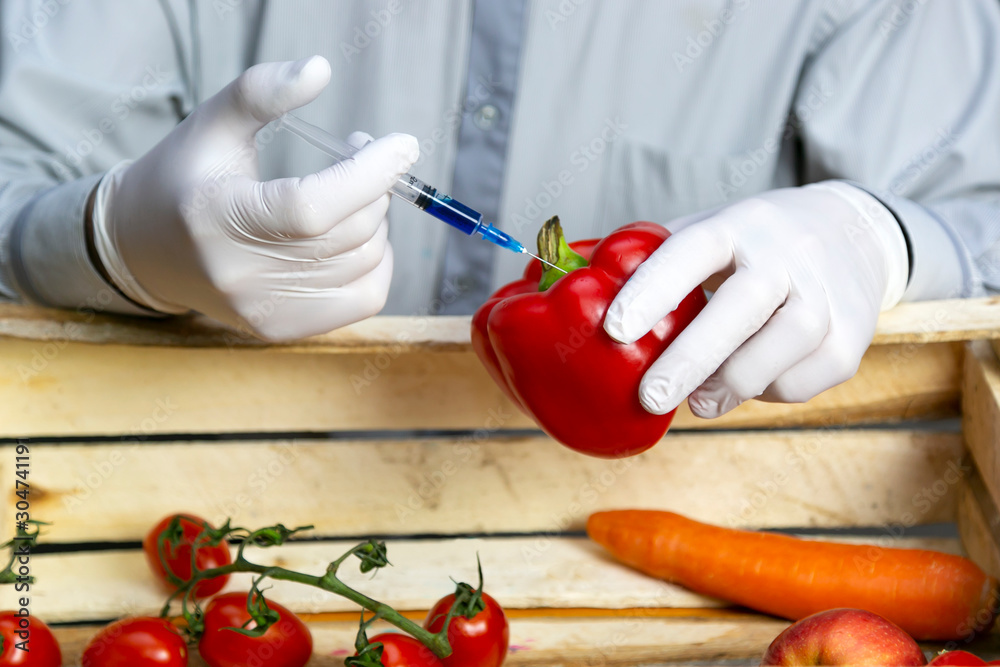 Chemical processing of vegetables, fertilizers and GMOs. A man injects ...