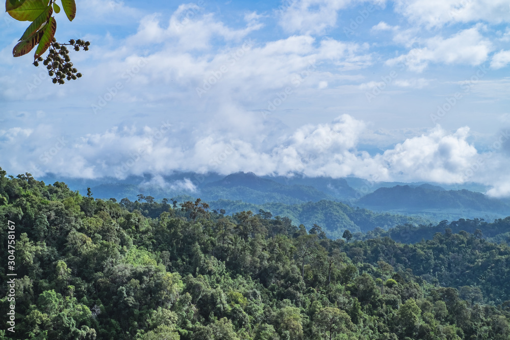 Beautiful Landscape view on the mountain on the way From Thongphaphum ...