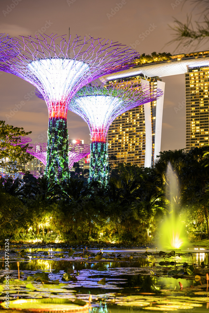 Close-up view of the illuminated Supertree Grove in Singapore ...