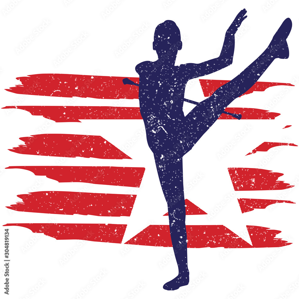 Baton Twirling flag, American Flag, Fourth of July, 4th of July ...