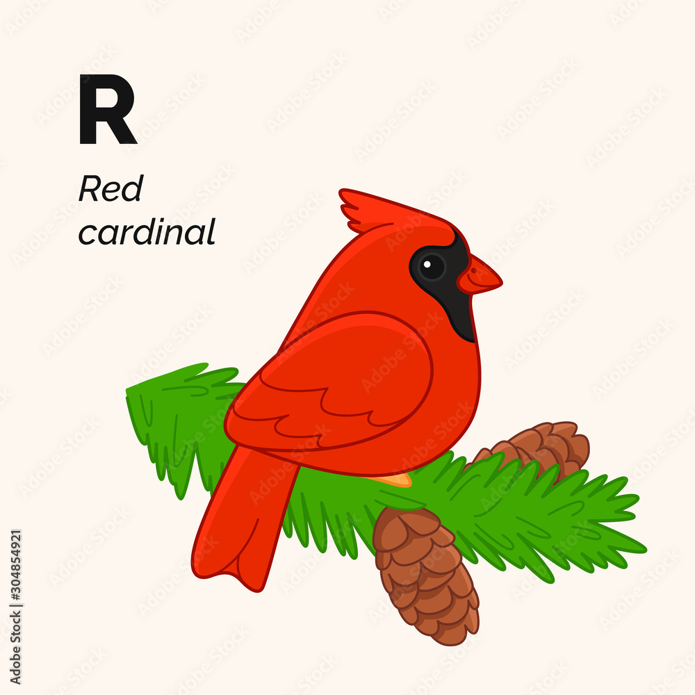 Cartoon red cardinal, cute character for children, bird collection ...