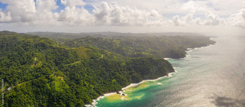 Beautiful tropical Barbados island. View of the golden beach with palms ...