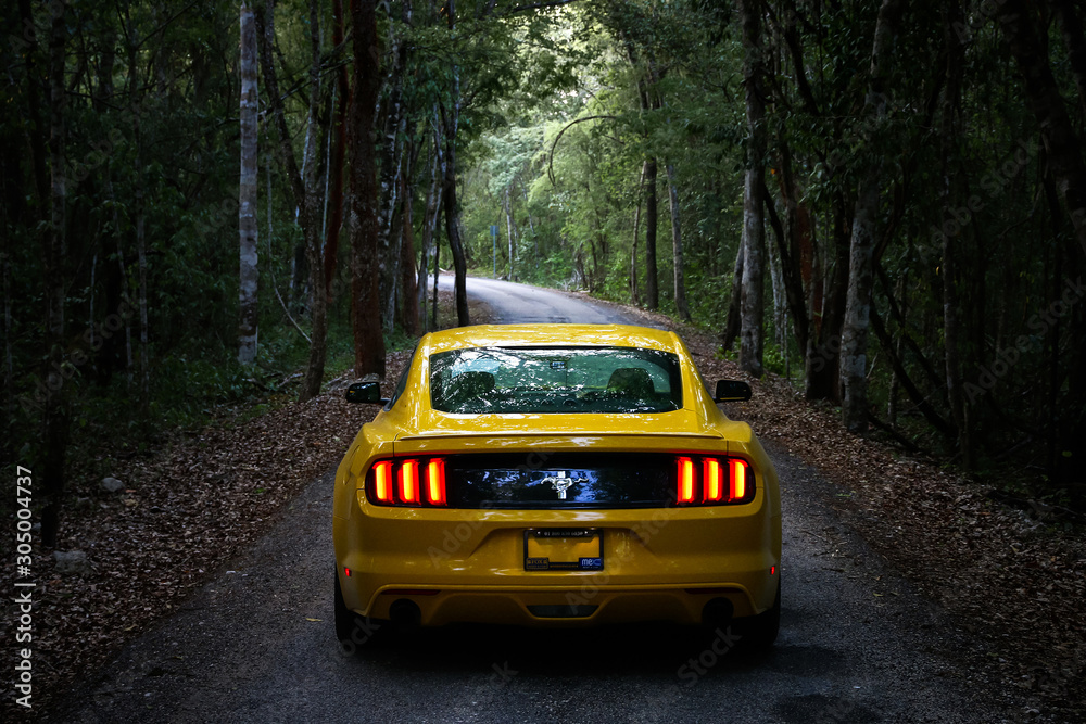 Ford Mustang Stock Photo | Adobe Stock