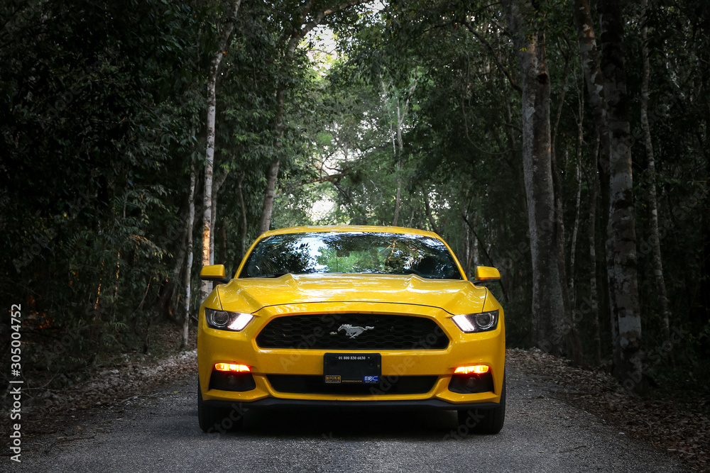 Ford Mustang Stock Photo | Adobe Stock