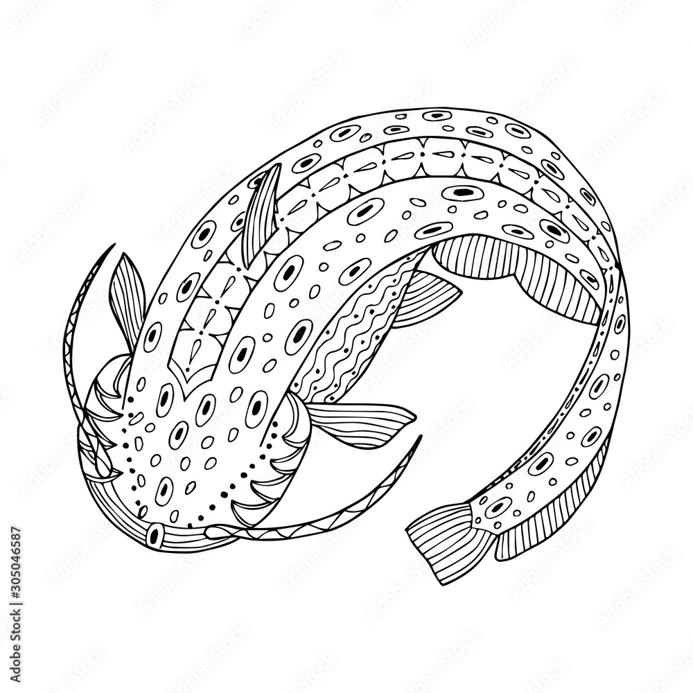 Sheatfish poster. Hand drawn coloring page. Stock vector illustration ...