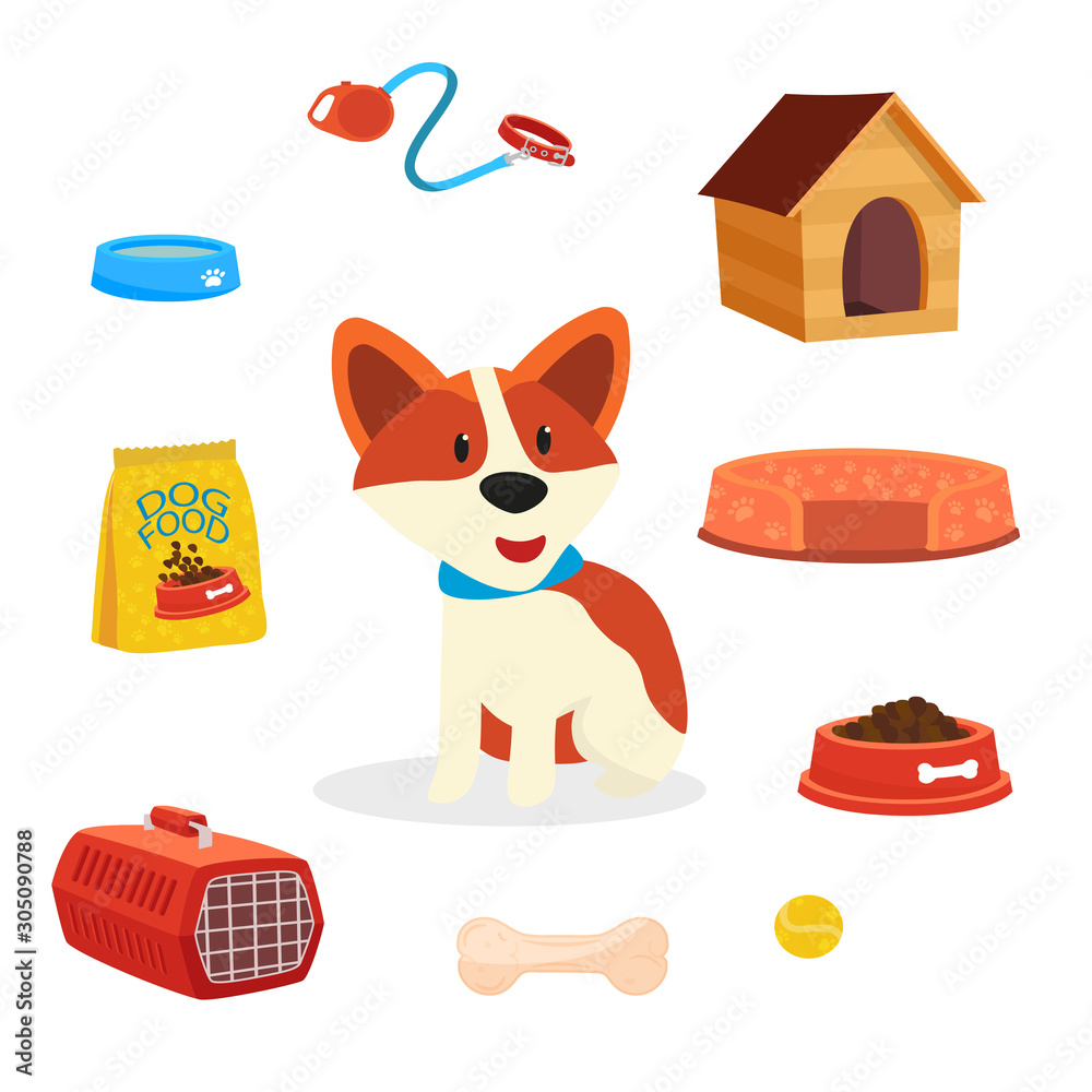 Dog and accessories flat vector illustrations set Stock Vector | Adobe ...