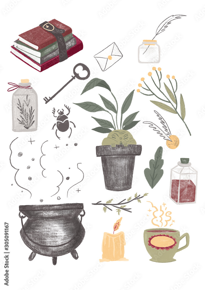 Set to play the wizard. Wizard's things: wizard, mandrake, magic book ...