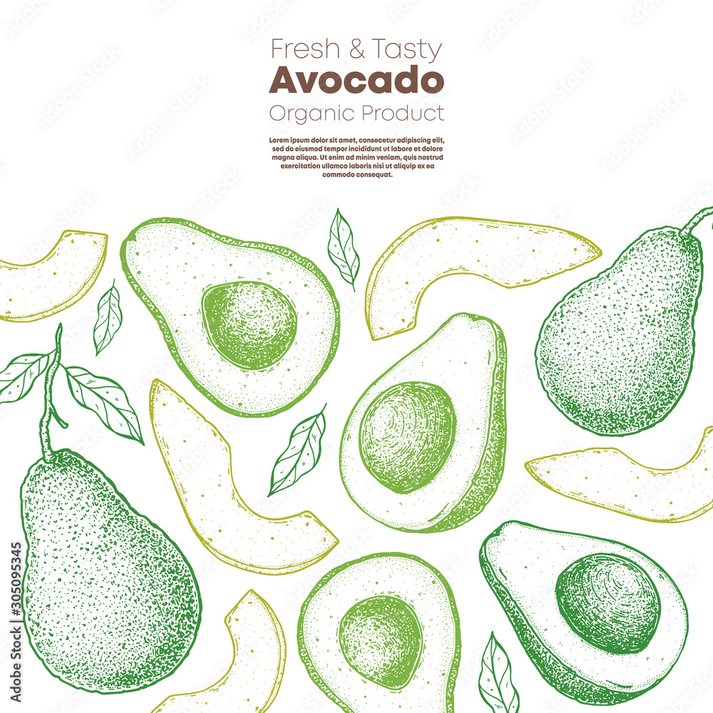 Avocado hand drawn illustration. Avocado frame. Sketch vector ...