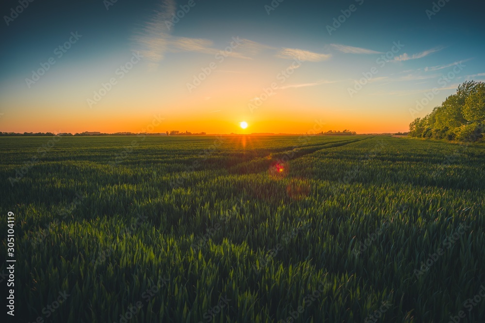 Green fields, Zeeland, Netherlands Stock Photo | Adobe Stock