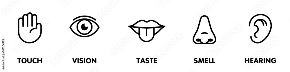 Icon set of five human senses.Vision eye, smell nose, hearing ear ...