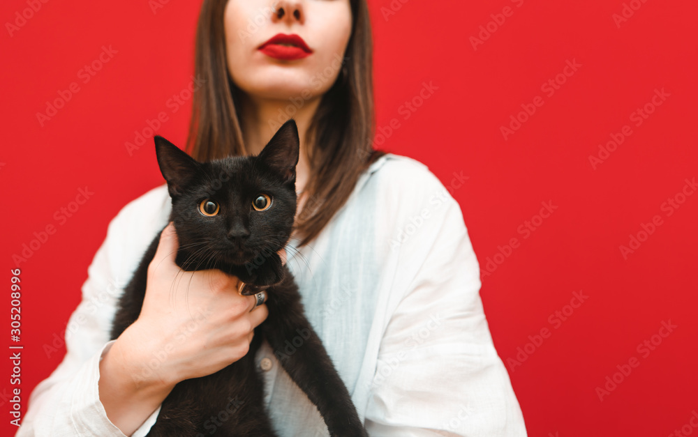 Breed Of Cat Has Black Lips | Lipstutorial.org