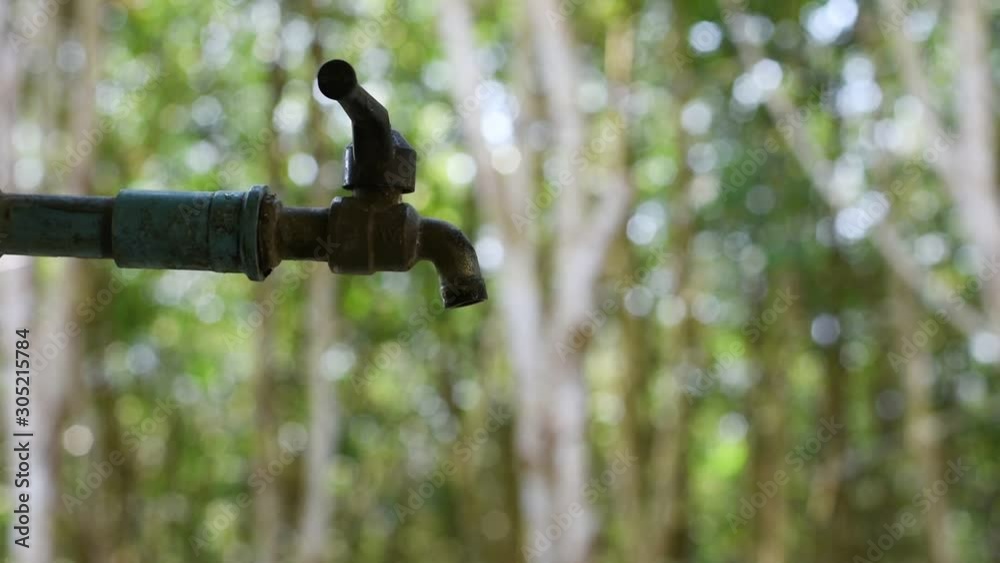 Water valve on green nature background, Close up tap valve with blur ...