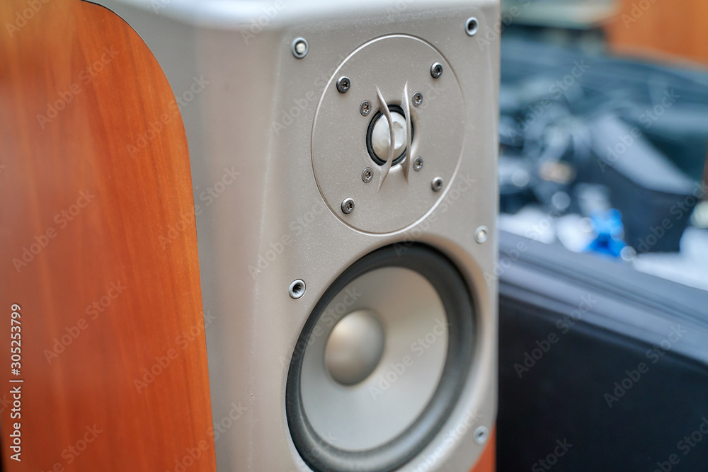 damaged tweeter on speaker system. bad, substandard sound. poor quality ...