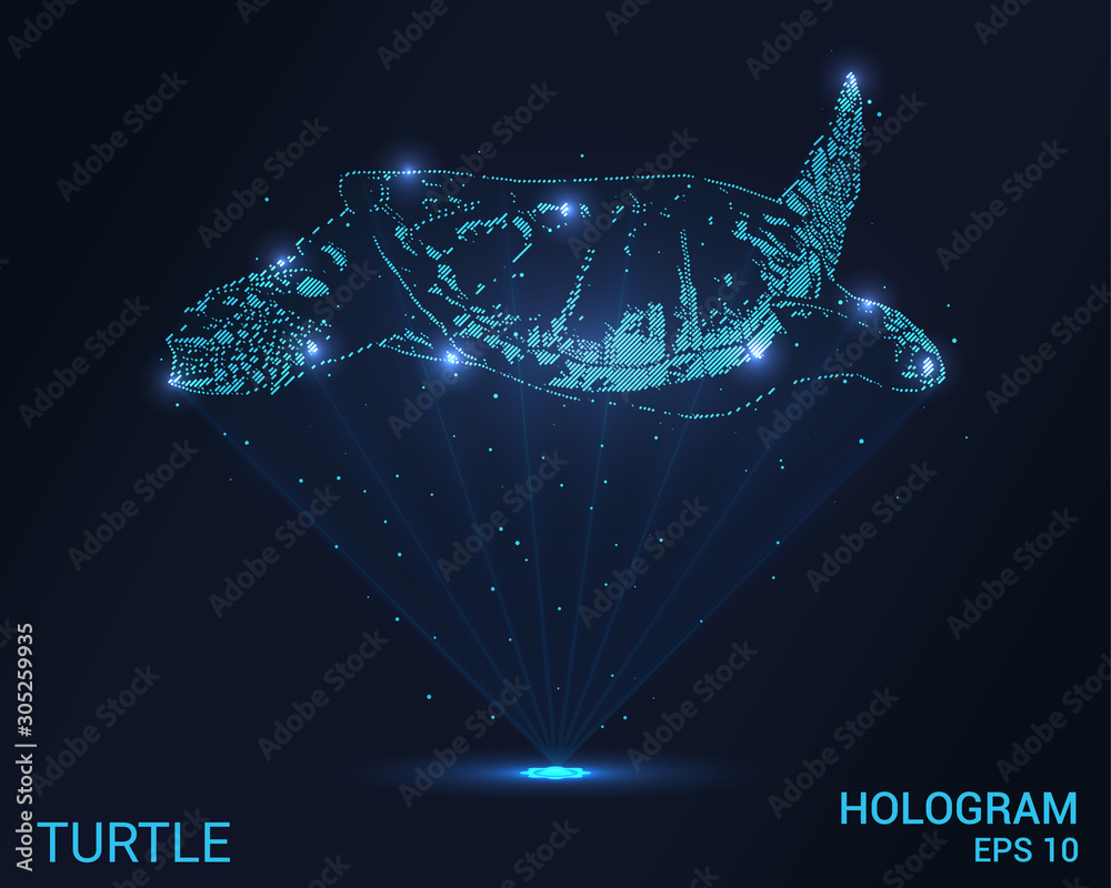 Hologram sea turtle. Holographic projection of a sea turtle. Flickering ...