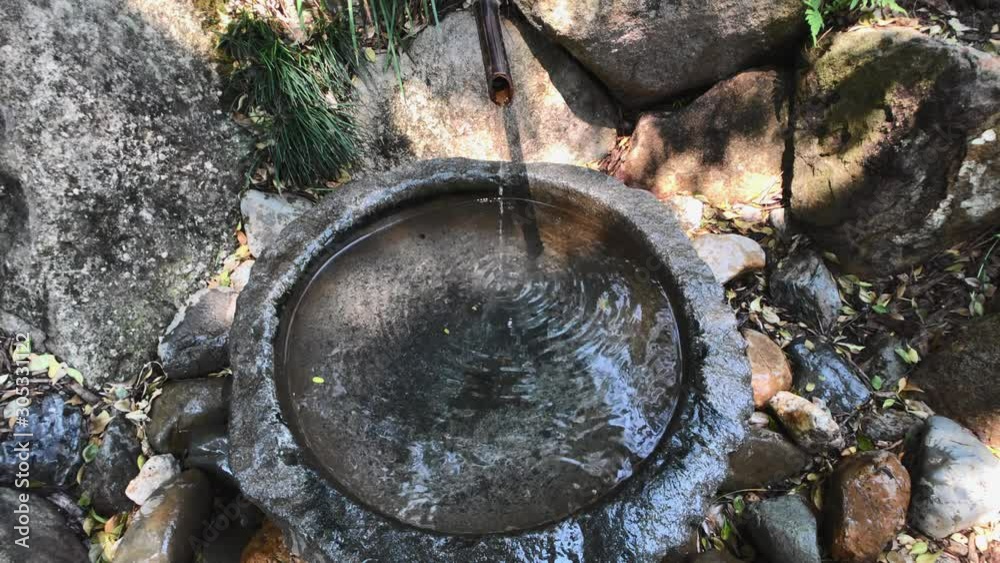Overhead Close Shot, Japanese Water Feature, Botanical Gardens, Mt Coot ...