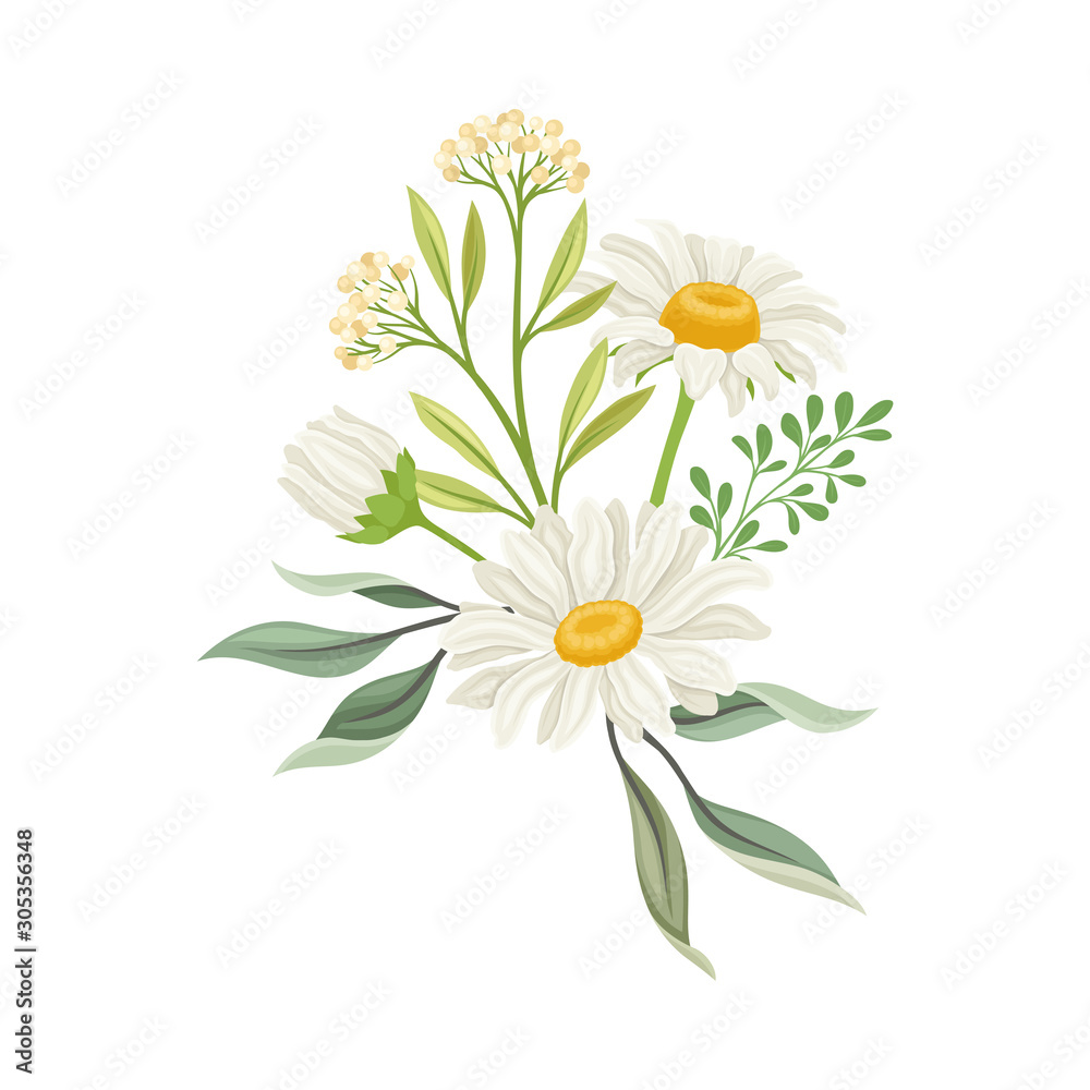 Bouquet of Daisy Flowers Vector Composition. Natural Floral Decoration ...