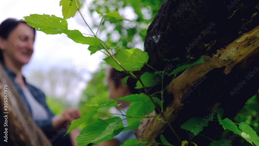 Happy family. Handsome mother and cute kid son holding hands together ...