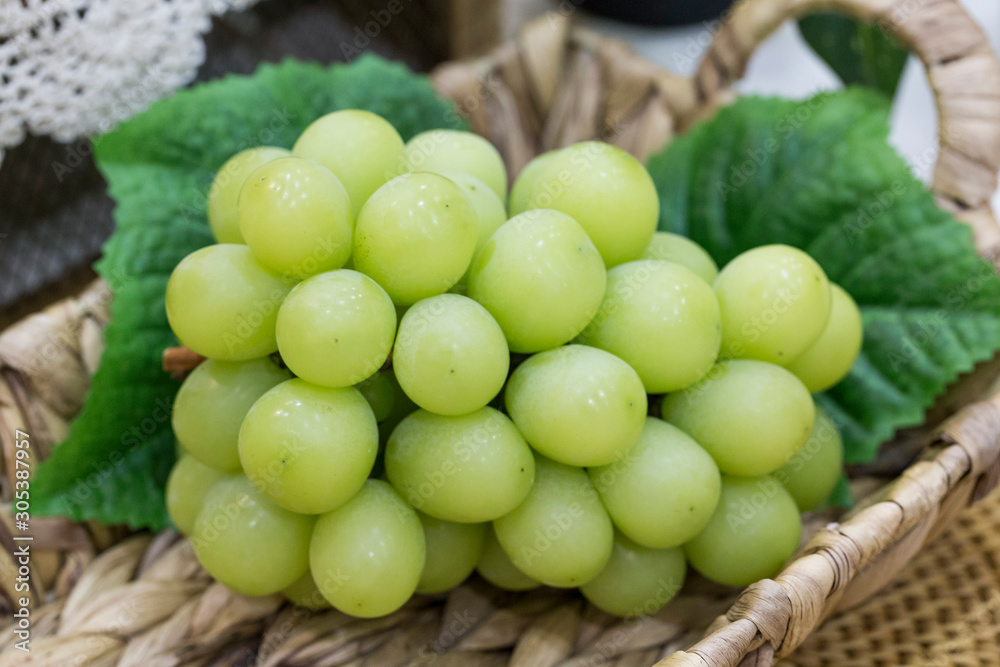 Shine Muscat, Seedless grape varieties Stock Photo | Adobe Stock