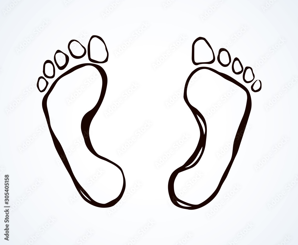 Foot. Vector drawing Stock Vector | Adobe Stock