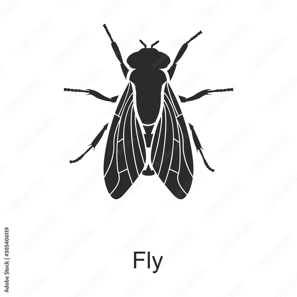 Insect fly vector icon.Black vector icon isolated on white background ...