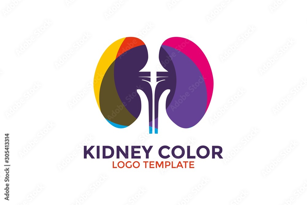 Colorful Kidney Care logo designs concept vector, Health Kidney logo ...