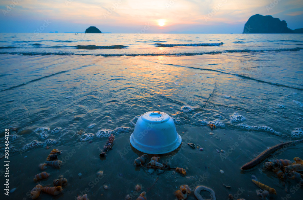 Styrofoam cup on tropical beach pollutes the sea and marine life ...