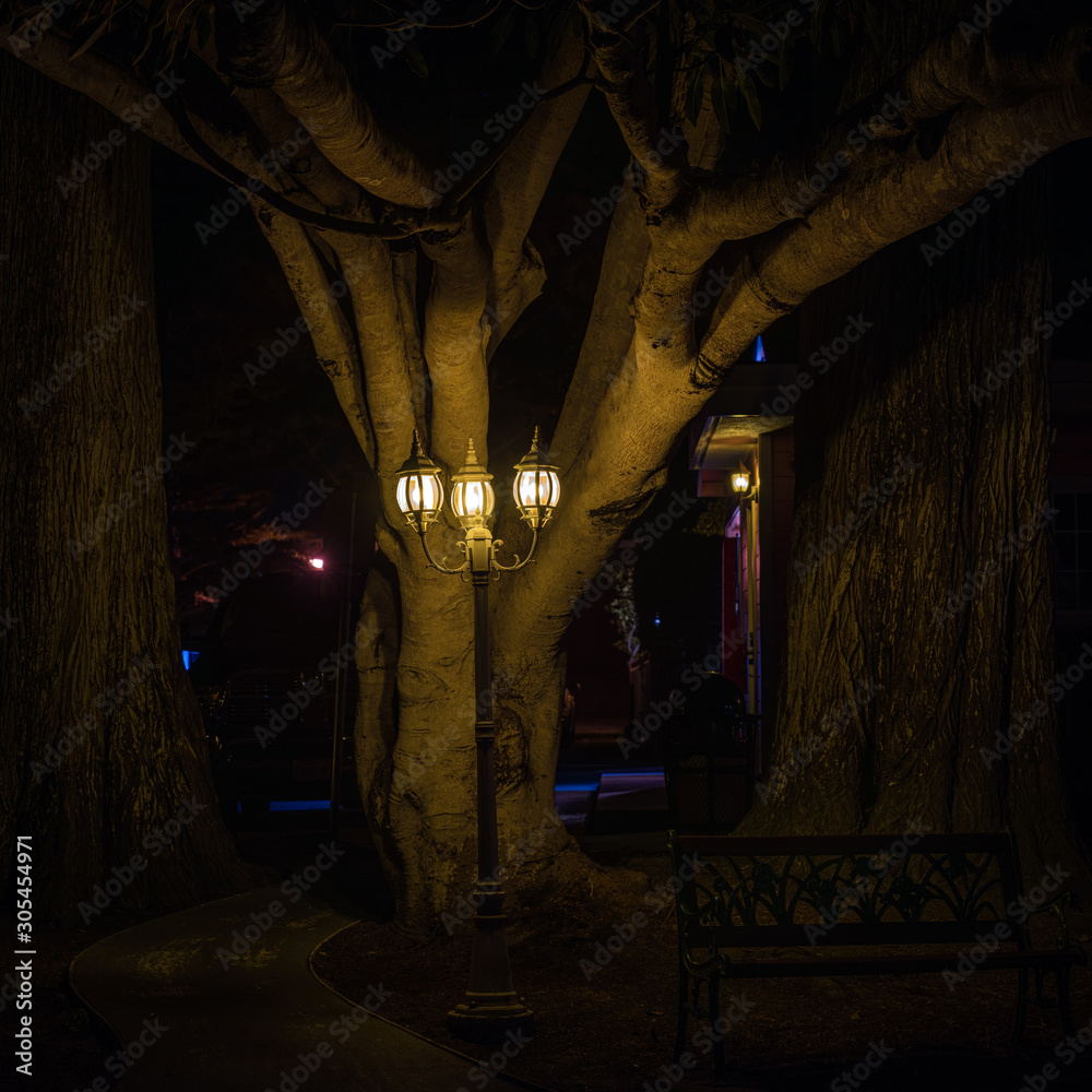 Streetlights illuminating an ominous looking tree next to a park bench ...