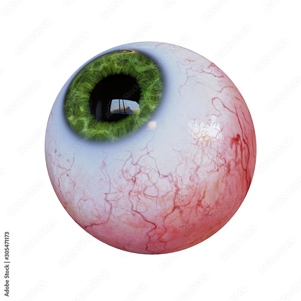 human eyeball with green iris looking up, isolated on white background ...