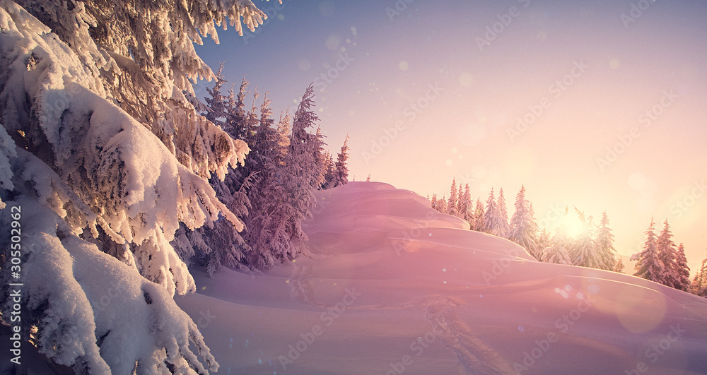 Wonderful winter landscape with trees in frost. Merry christmas and ...
