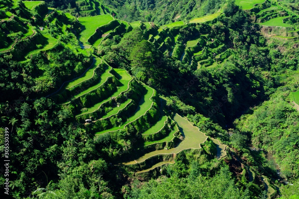 High angle shot of a landscape in Banaue Rice Terraces, Ifugao Province ...