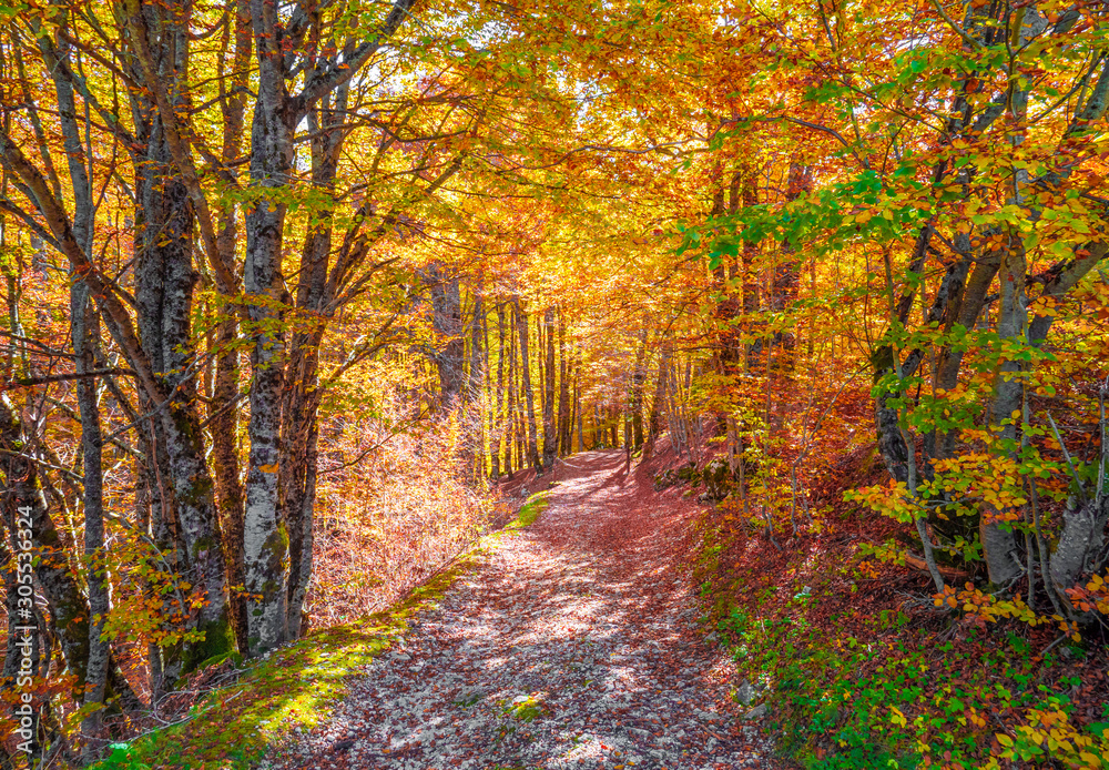 National Park of Abruzzo, Lazio and Molise (Italy) - The autumn with ...
