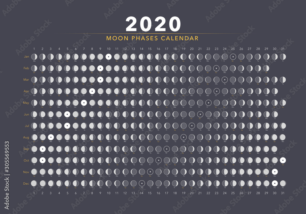 2020 moon phases calendar gray astronomy vector chart Stock Vector ...
