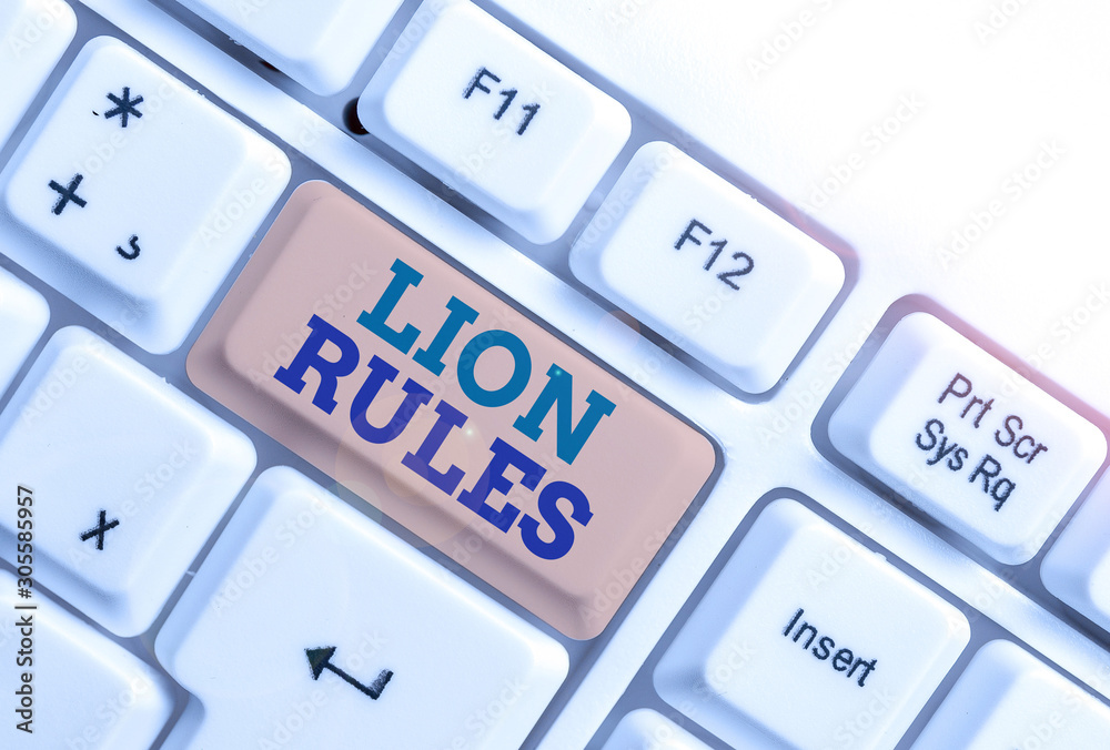 Foto Stock Handwriting text writing Lion Rules. Conceptual photo ...